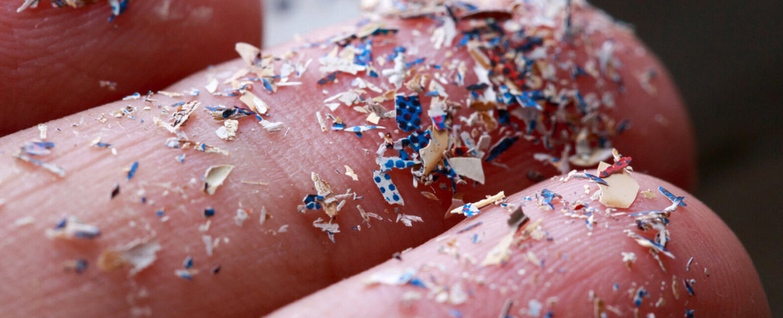 Microplastic-free Cosmetics: Discover our Formulation Suggestions | BTC ...