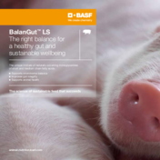 Downloads | BTC Europe