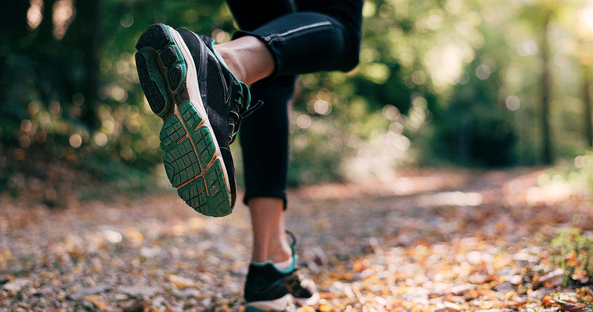 Polytetrahydrofuran (PolyTHF) Versatile Performance for a Dynamic World ...