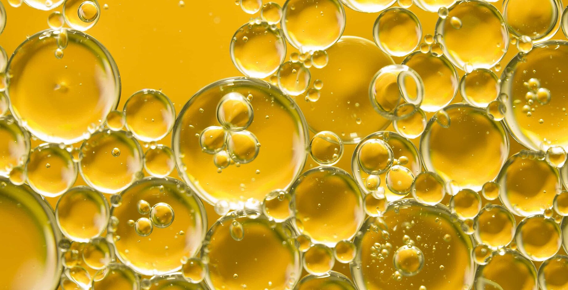 BTC Europe - your local expert for speciality chemicals