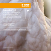 Downloads | BTC Europe