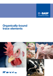 Downloads | BTC Europe